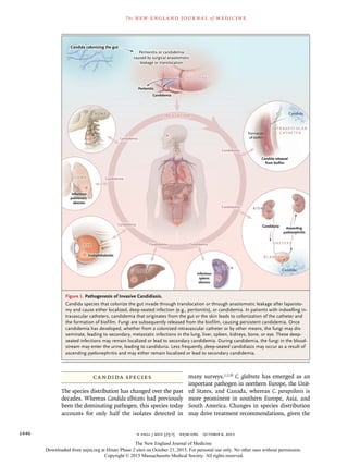 Candidiasis invasiva | PDF | Digestive Disorders | Diseases and Conditions