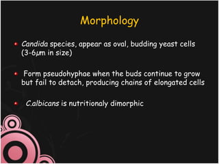 Candidiasis or Candidosis | PPTX