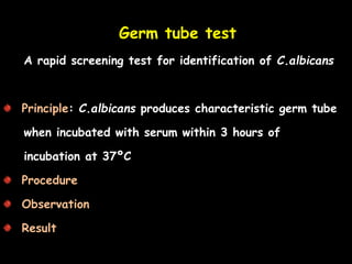 Candidiasis or Candidosis | PPTX