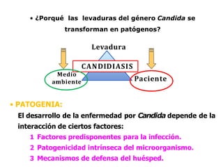 CANDIDIASIS PROFUNDA Y SISTÉMICA.pptx