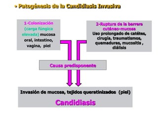 CANDIDIASIS PROFUNDA Y SISTÉMICA.pptx