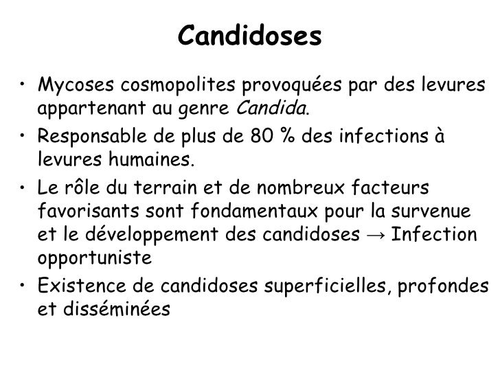 Comment Se Présente La Candidose – BLKXFS