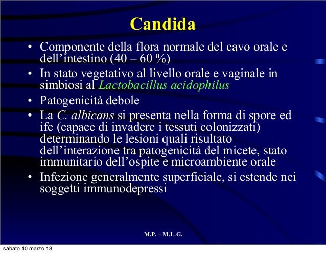 Candidosi orale e Lichen: diagnosi e terapia