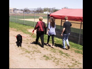 Lucy the Therapy Dog | PPT