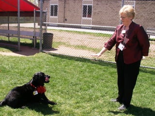 Lucy the Therapy Dog | PPT