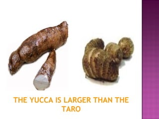 comparatives and superlatives | PPT