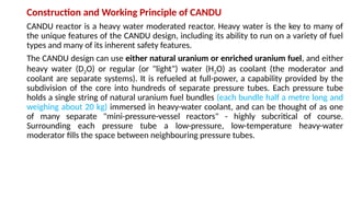 CANDU(Canada Deuterium Uranium) Reactor.pptx