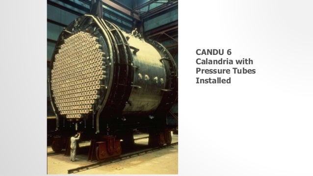 Candu6 Reactor At A Glance