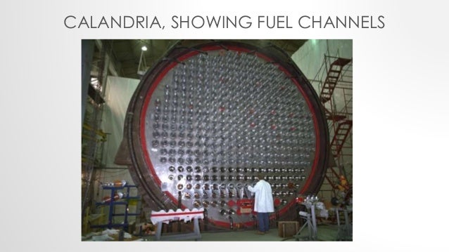 Candu6 Reactor At A Glance