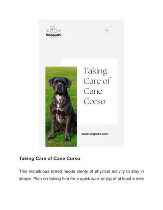 CAne Corso.pdf | Veterinary Medicine | Pets
