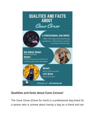 CAne Corso.pdf | Veterinary Medicine | Pets