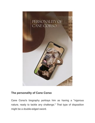 CAne Corso.pdf | Veterinary Medicine | Pets