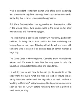 CAne Corso.pdf
