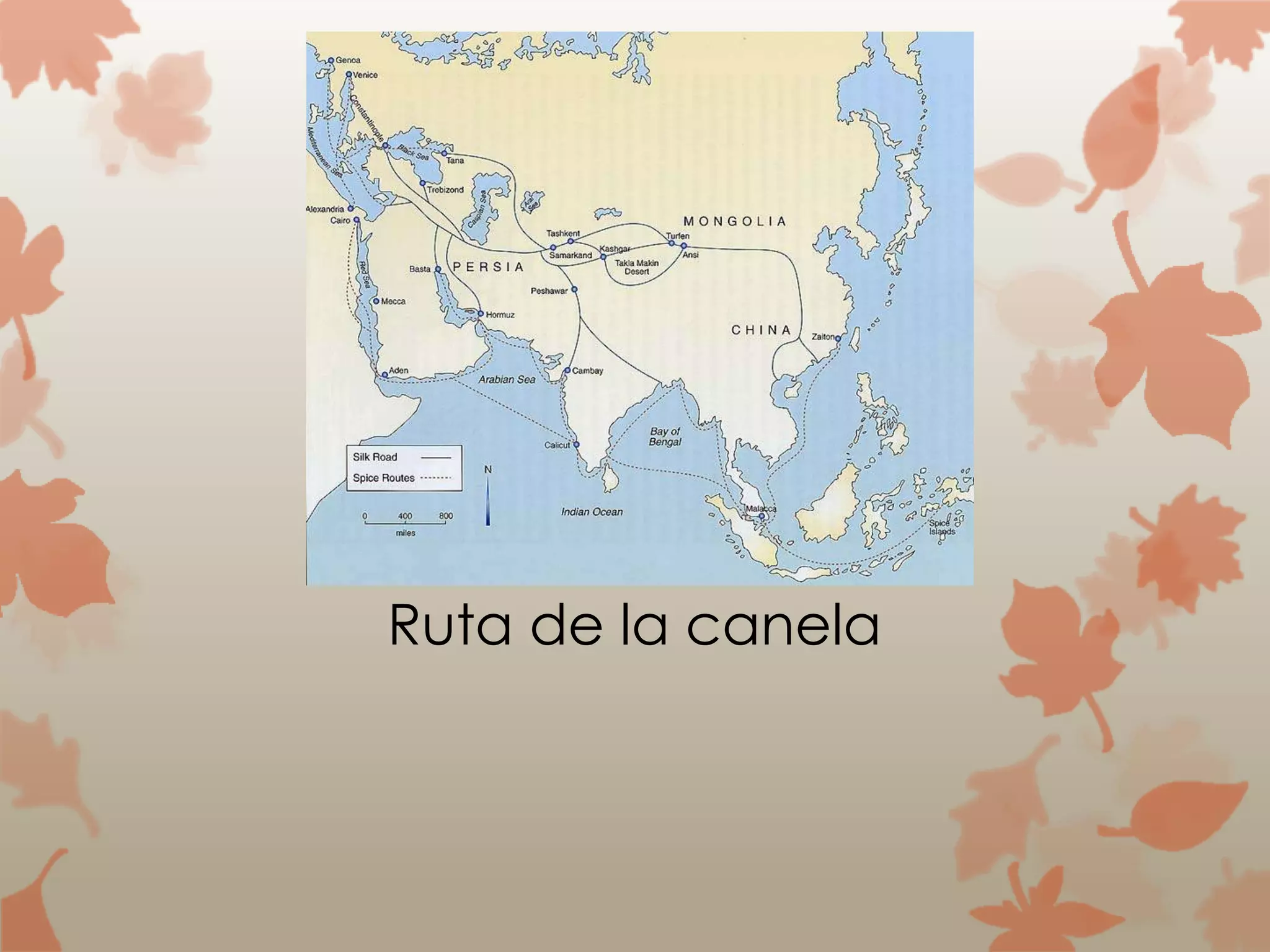 Canela, árbol de la canela, canelero | PPTX