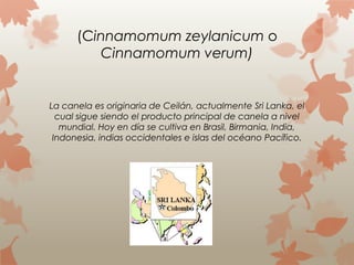 Canela, árbol de la canela, canelero | PPTX