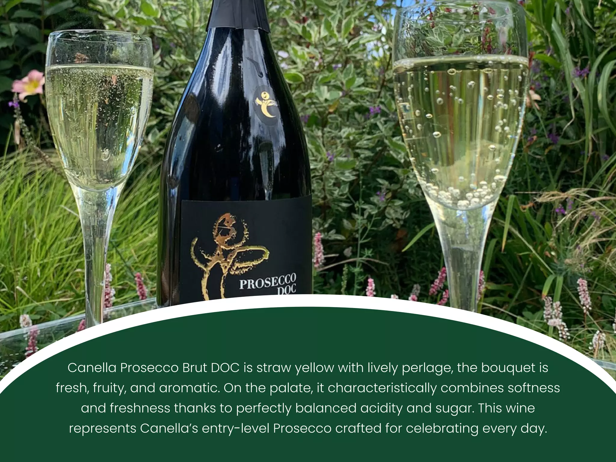 Canella Prosecco Brut DOC - Empson USA | PDF