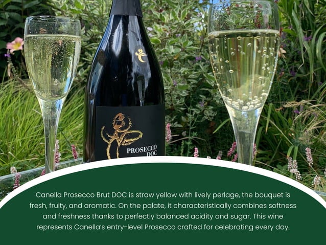 Canella Prosecco Brut DOC - Empson USA | PDF | Alcoholic Beverages | Food & Drink