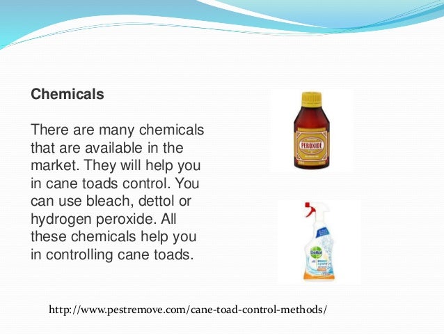 Cane Toad Control Methods