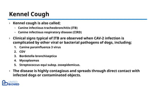 Canine Adenoviruse-2 Presentation in Pet Animals | PPTX