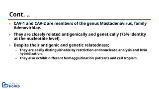 Canine Adenoviruse-2 Presentation in Pet Animals | PPTX