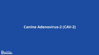 Canine Adenoviruse-2 Presentation in Pet Animals | PPTX