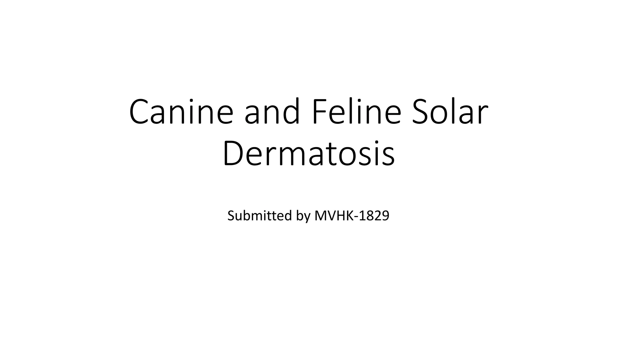 Canine and feline solar dermatosis | PPTX