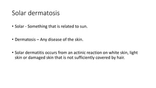 Canine and feline solar dermatosis | PPTX