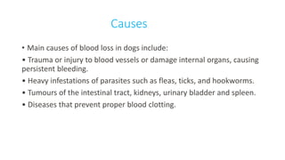 Canine anemia VETERINARY DOCTORS AND PET OWNERS.pdf