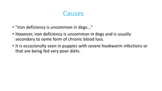 Canine anemia VETERINARY DOCTORS AND PET OWNERS.pdf