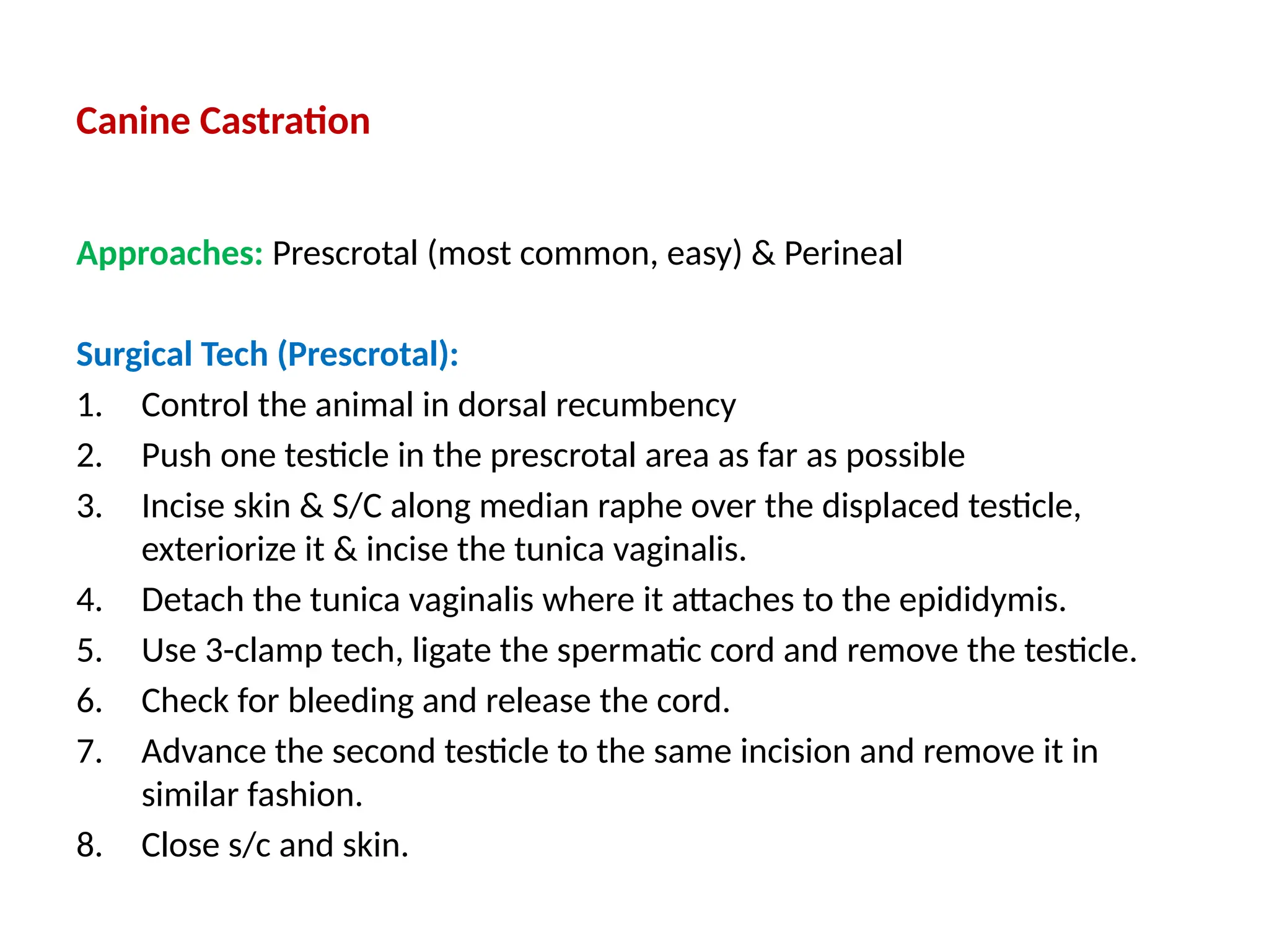 canine castration Feline Castration Testicular Tumors Transmissible ...