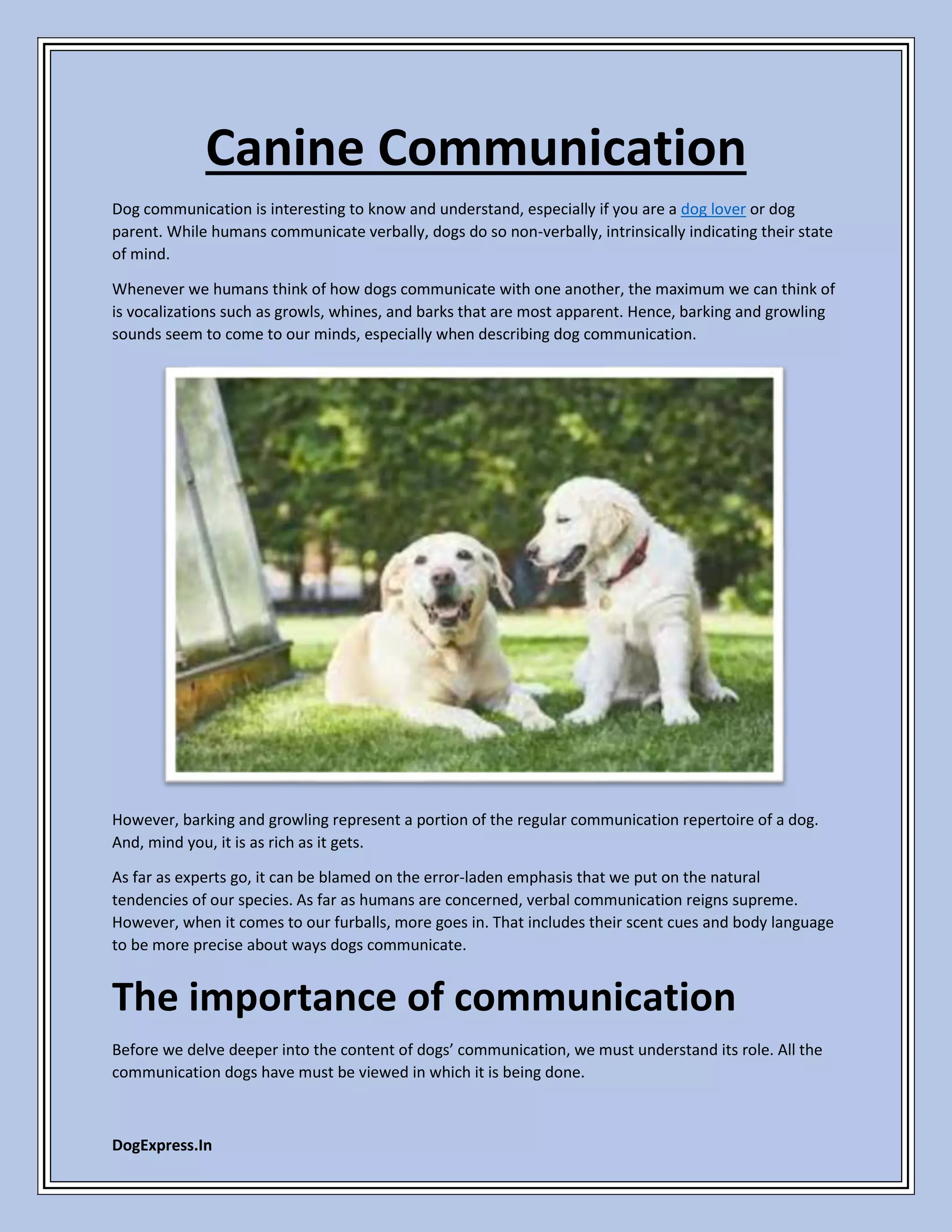 Canine Communication.docx