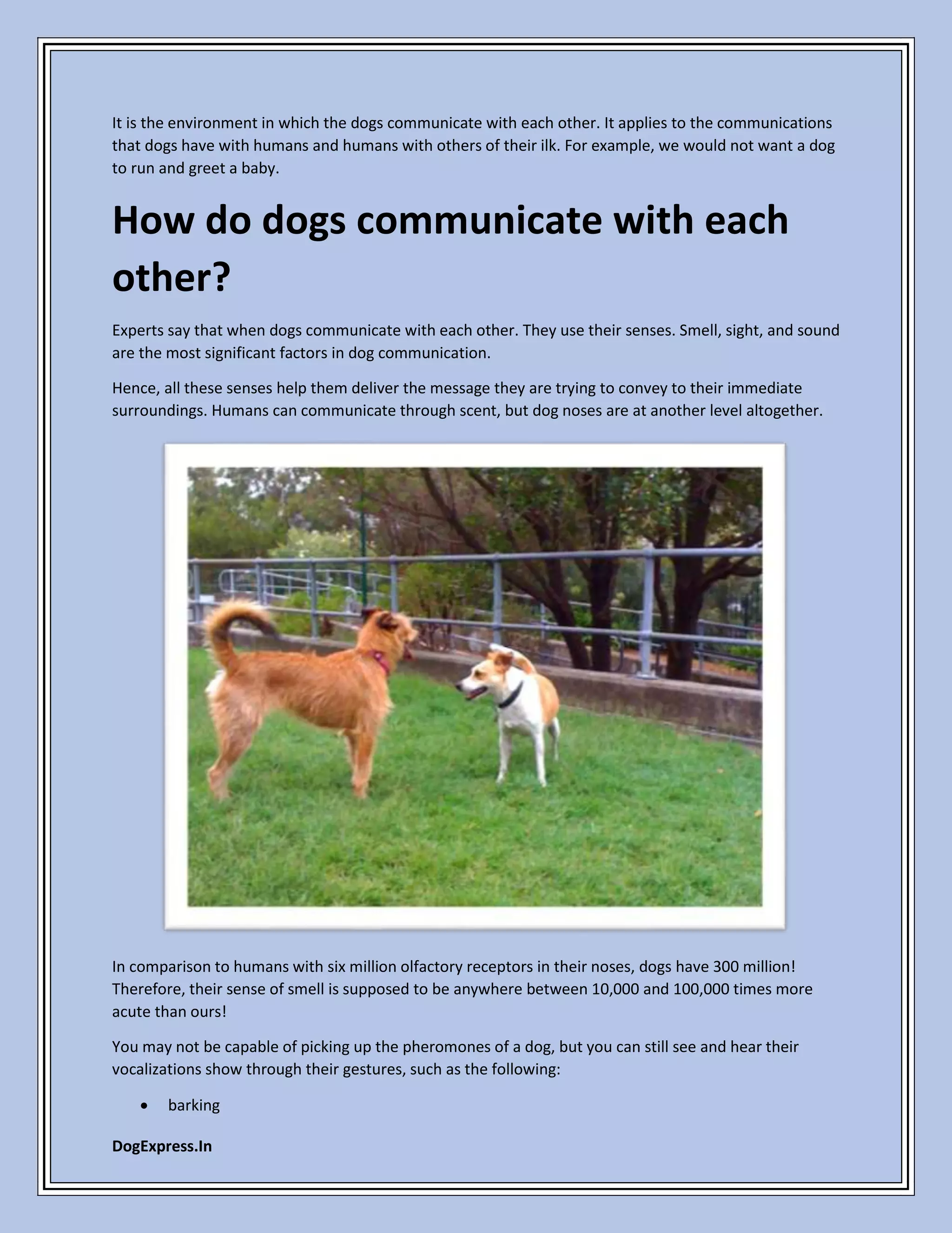 Canine Communication.docx | Dogs | Pets