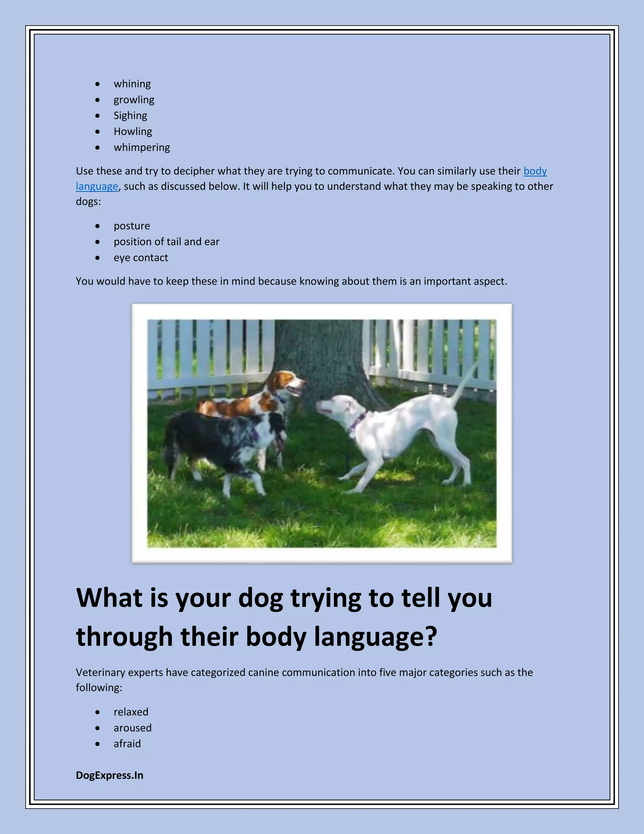 Canine Communication.docx