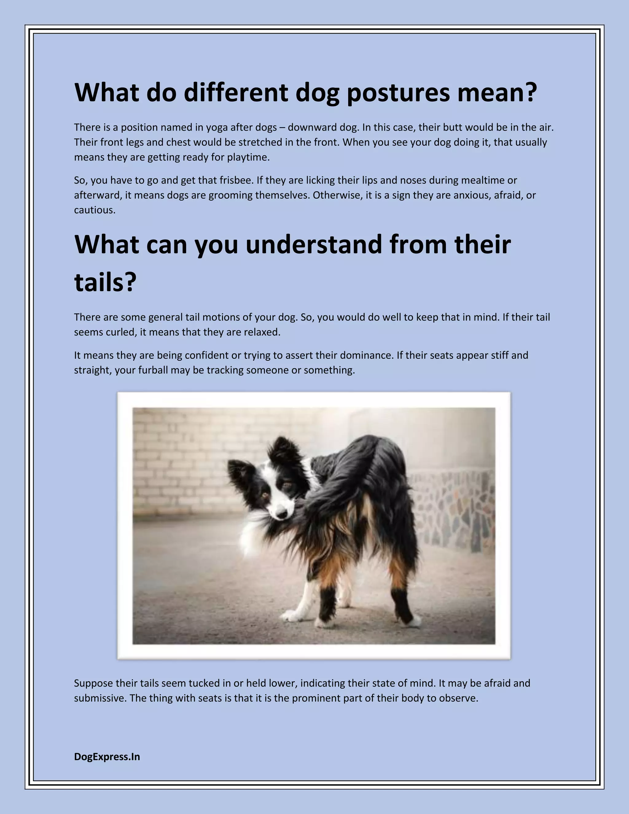 Canine Communication.docx