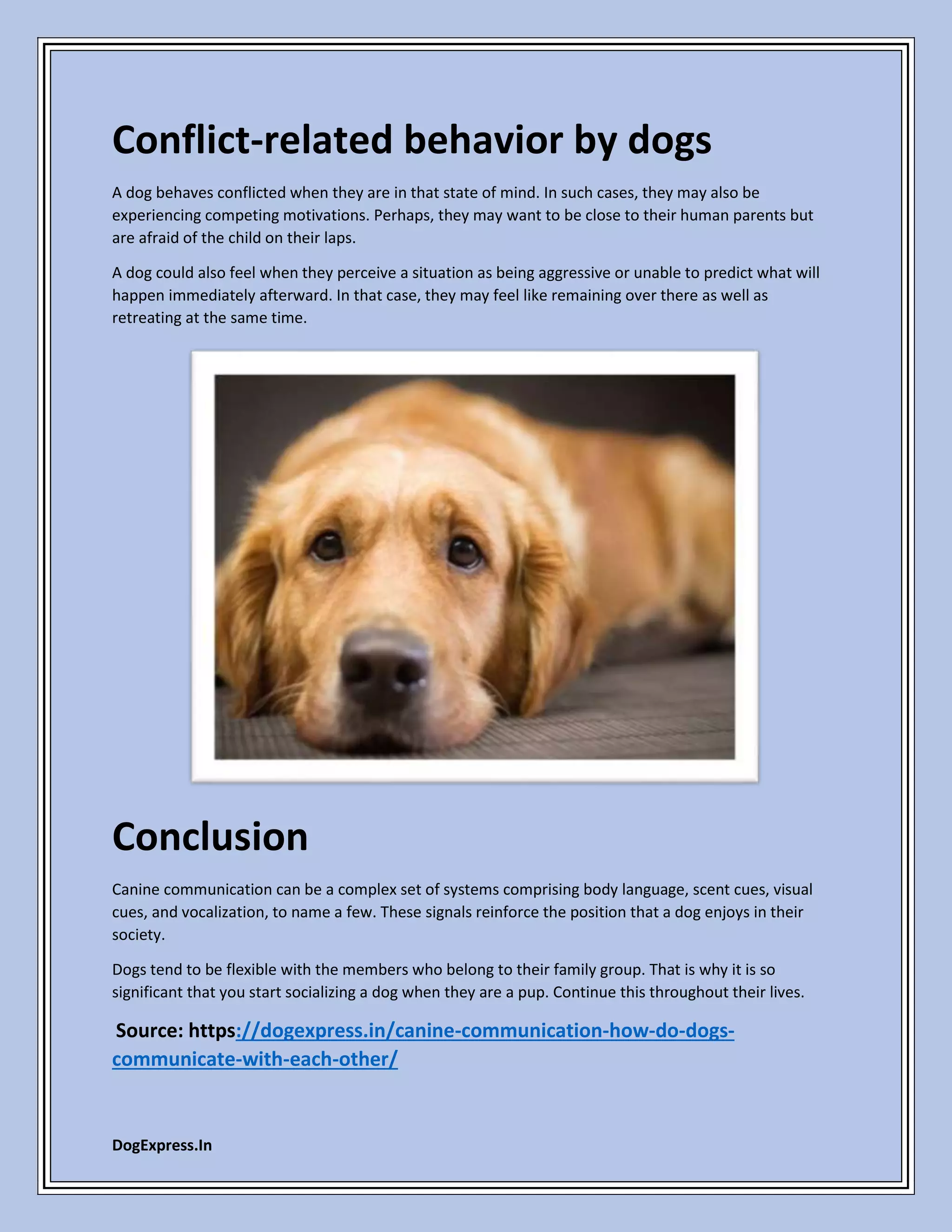 Canine Communication.docx