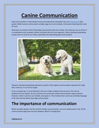 Canine Communication.docx | Dogs | Pets
