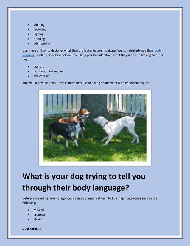 Canine Communication.docx | Dogs | Pets