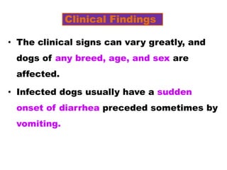 Clinico pathological and diagnstic aspects of CANINE CORONAVIRAL ...