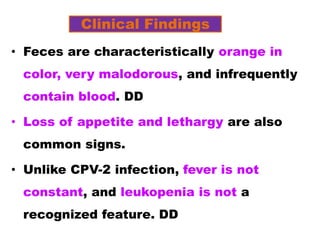 Clinico pathological and diagnstic aspects of CANINE CORONAVIRAL ...