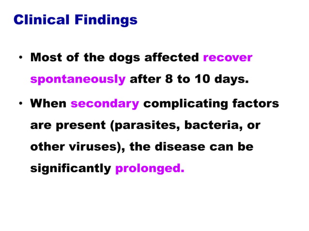 Clinico pathological and diagnstic aspects of CANINE CORONAVIRAL ...