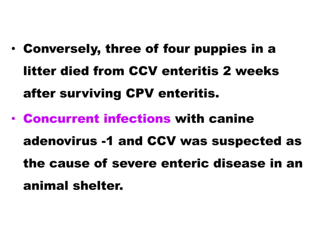 Clinico pathological and diagnstic aspects of CANINE CORONAVIRAL ...