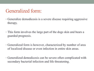 canine demodex | PPTX
