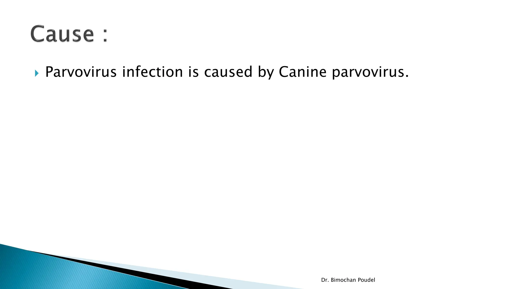 Canine Diseases : Leptospirosis , Rabies , Canine Distemper , Parvo ...