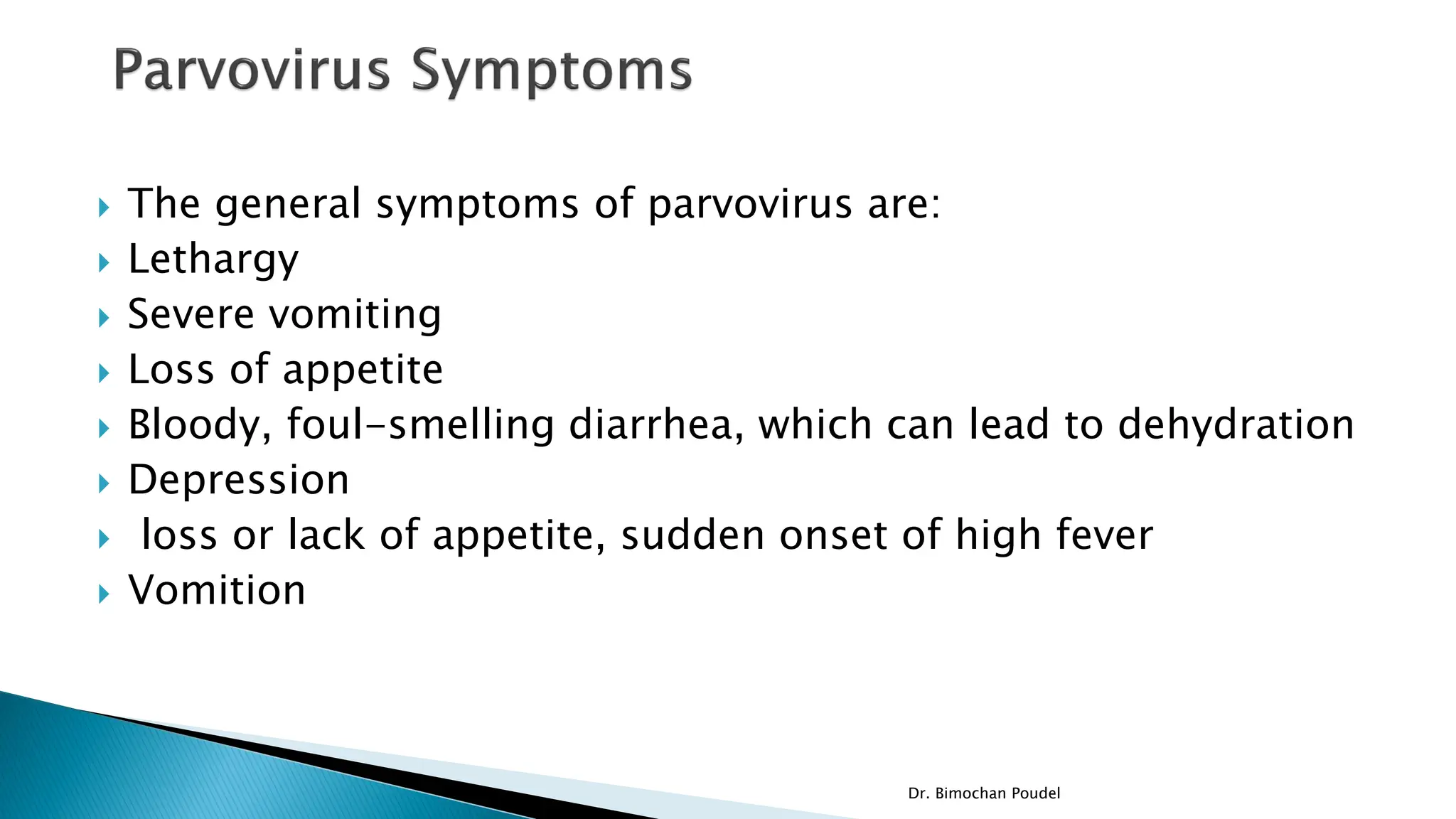 Canine Diseases : Leptospirosis , Rabies , Canine Distemper , Parvo ...