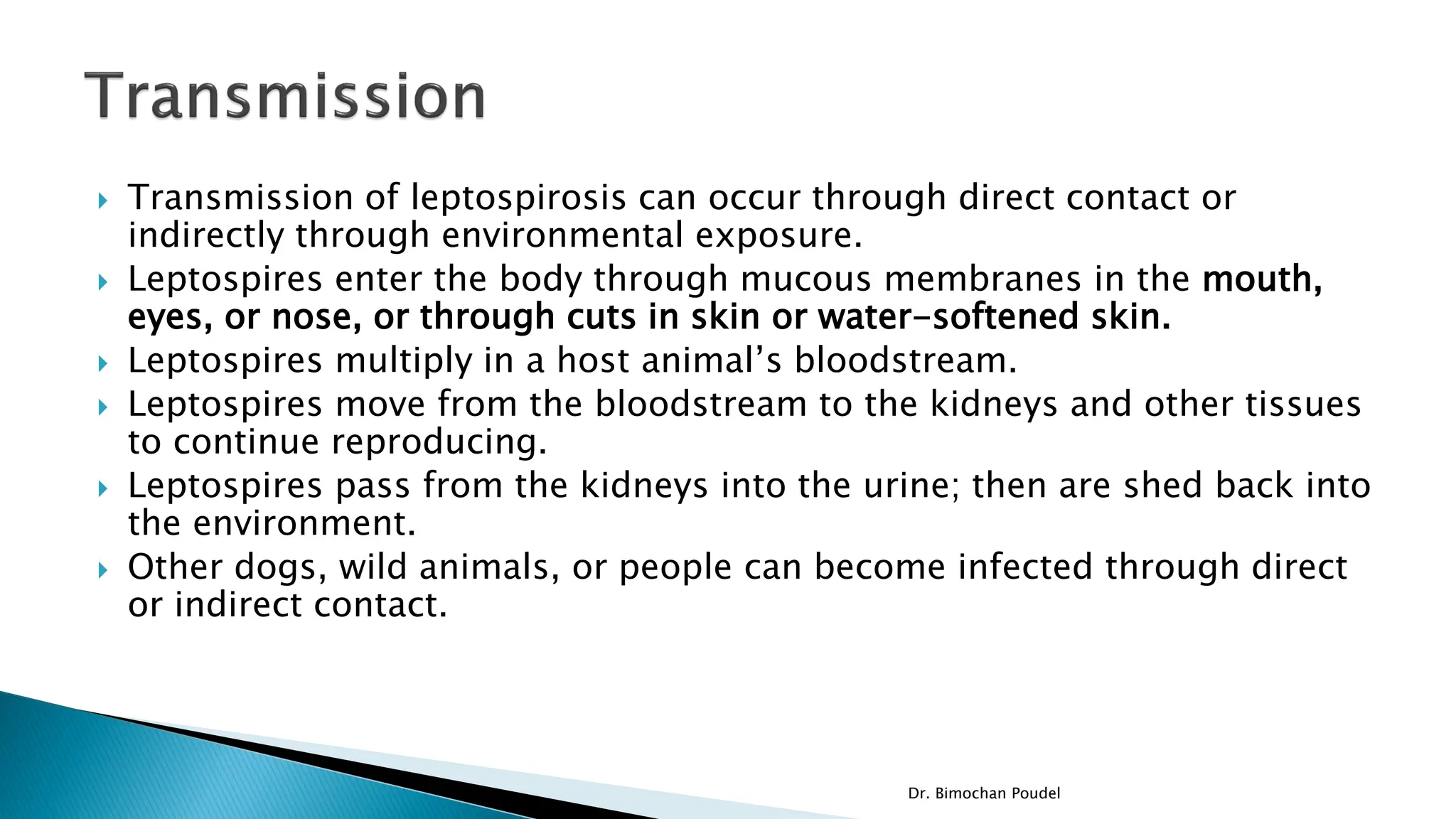 Canine Diseases : Leptospirosis , Rabies , Canine Distemper , Parvo ...