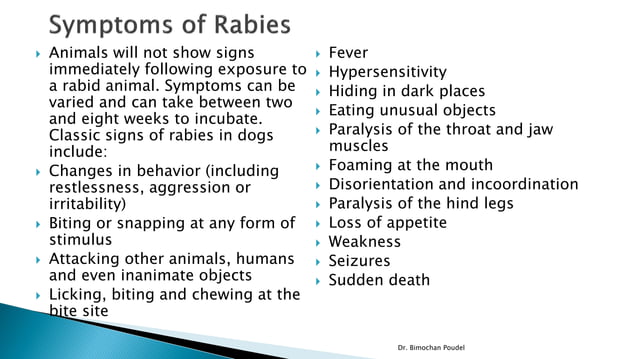 Canine Diseases : Leptospirosis , Rabies , Canine Distemper , Parvo ...