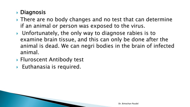 Canine Diseases : Leptospirosis , Rabies , Canine Distemper , Parvo ...