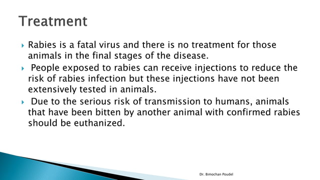 Canine Diseases : Leptospirosis , Rabies , Canine Distemper , Parvo ...