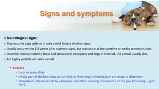 Canine distemper signs, diagnosis, treatment and prevention.antibiotics ...