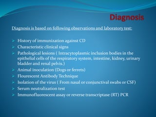 Canine Distemper | PPTX